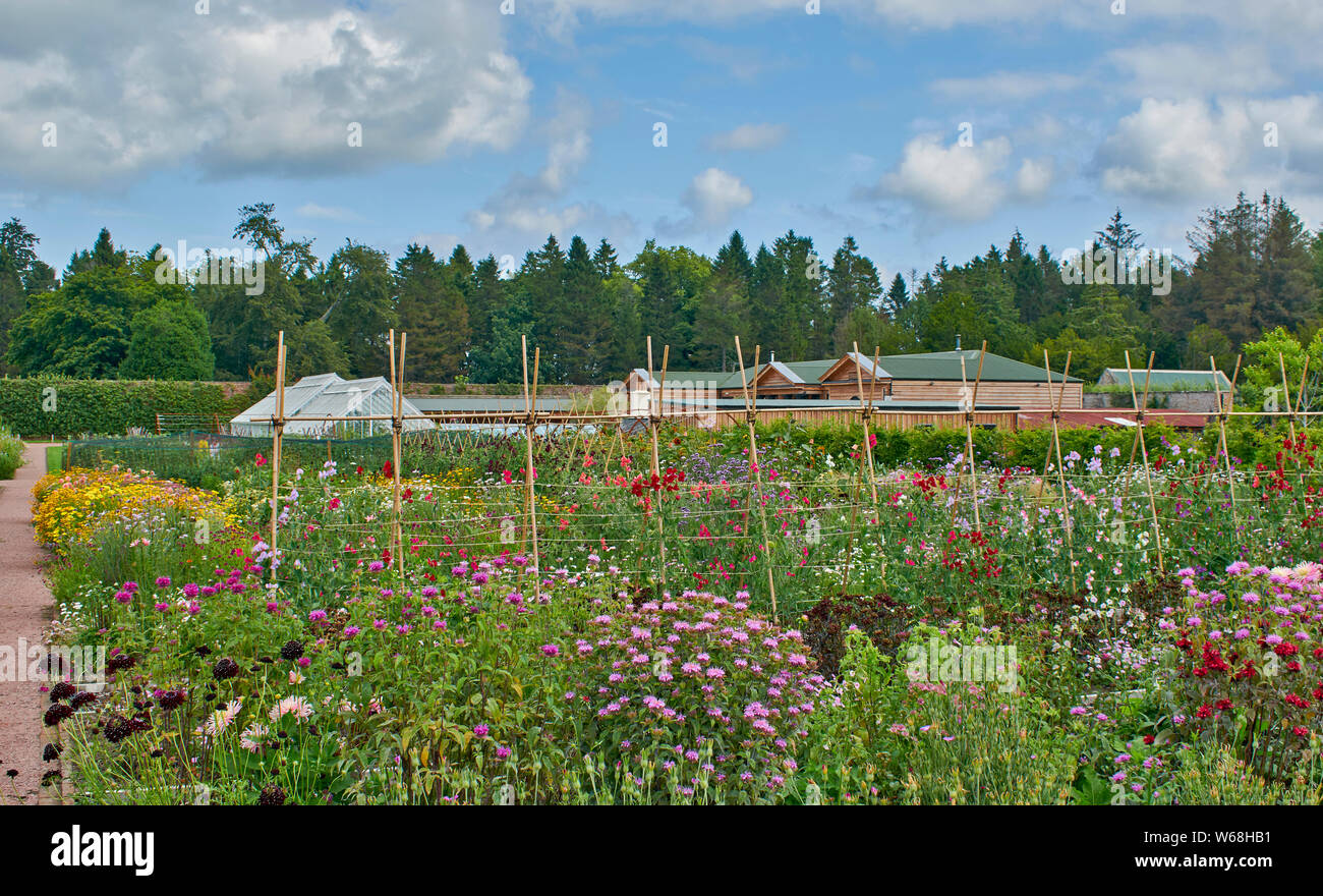 GORDON CASTLE GARDENS FOCHABERS MORAY SCOTLAND THE EXTENSIVE WALLED ...