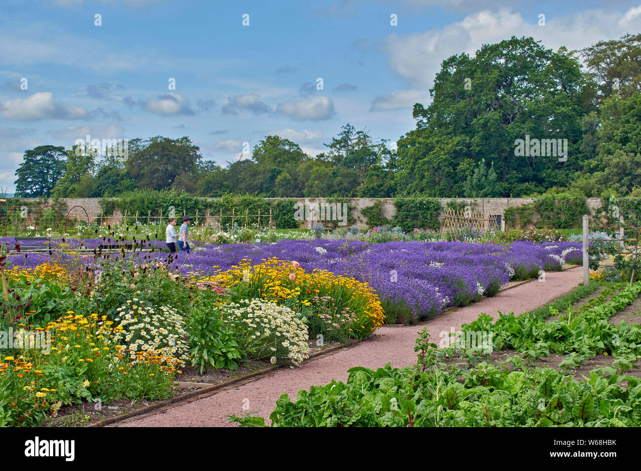 GORDON CASTLE GARDENS FOCHABERS MORAY SCOTLAND THE EXTENSIVE WALLED ...