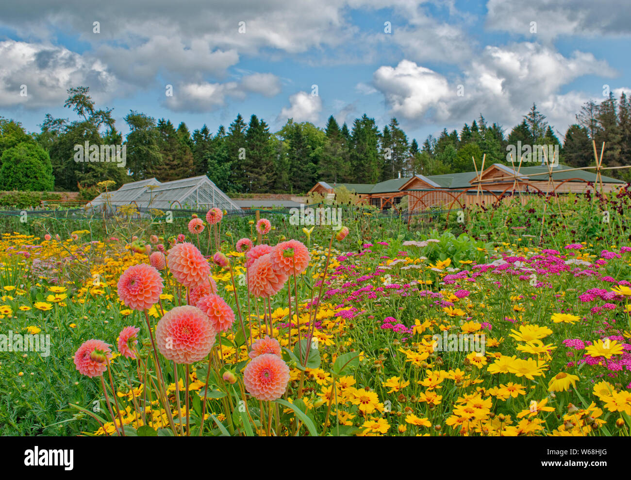 Gordon castle walled garden hi-res stock photography and images - Alamy