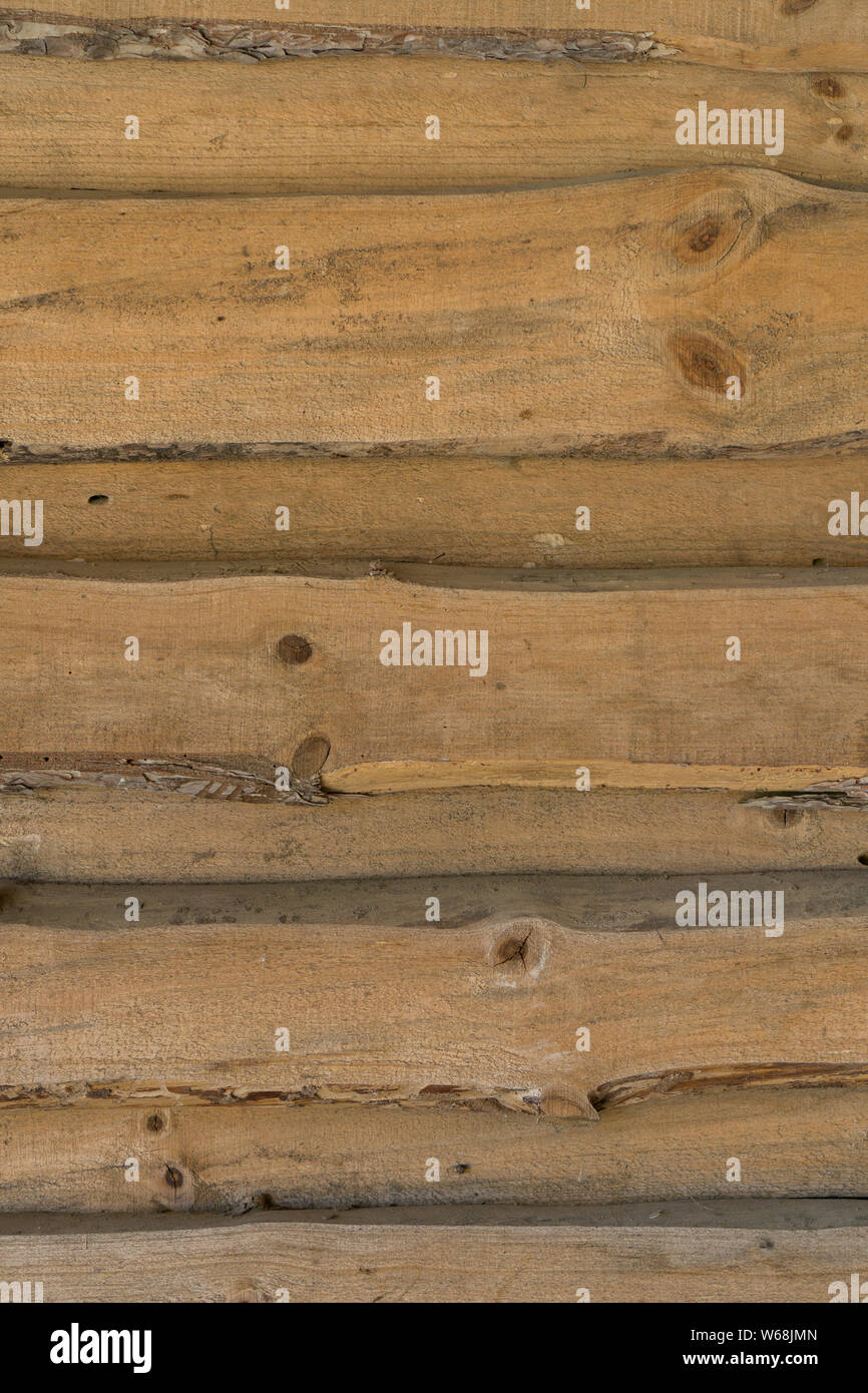 Rough processed tree trunks as texture, background and pattern. Badly ...