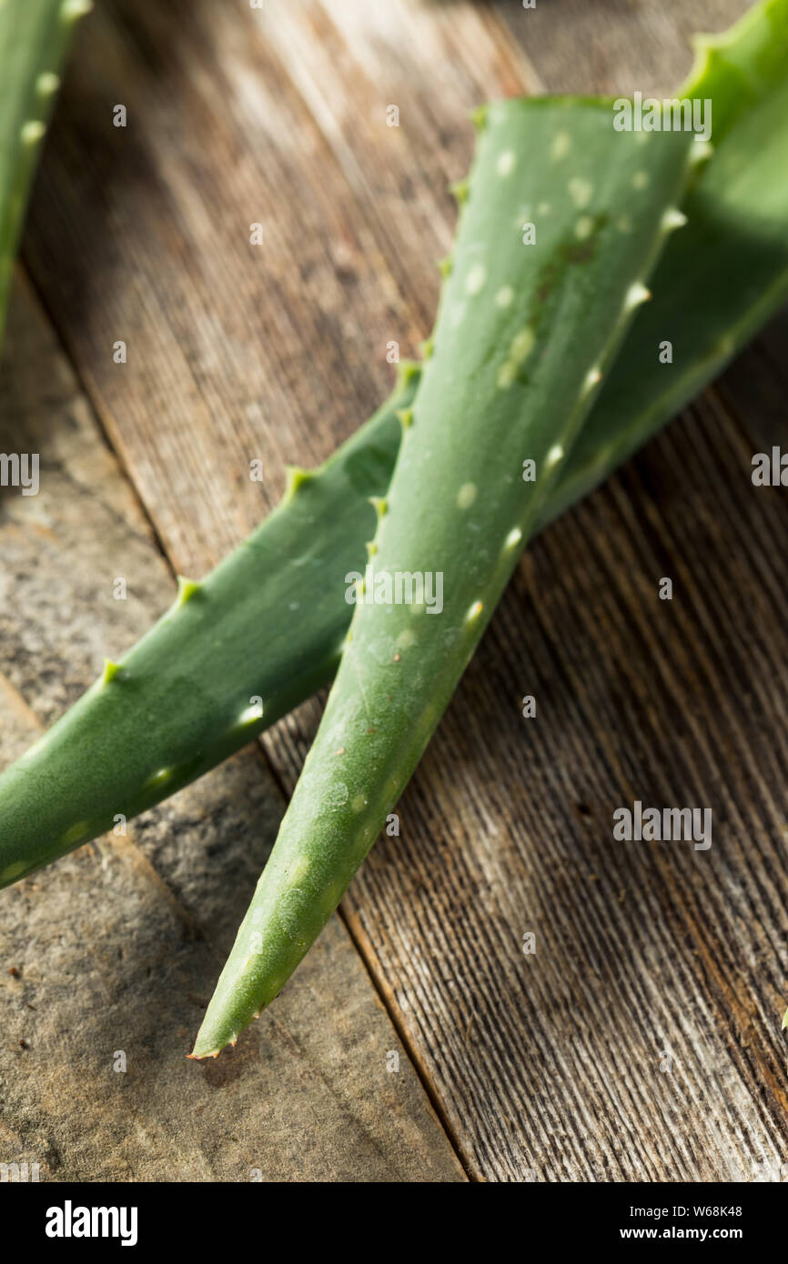 Pure aloe vera hi-res stock photography and images - Alamy