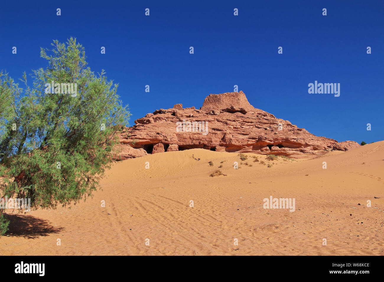Timimoun ksar hi-res stock photography and images - Alamy