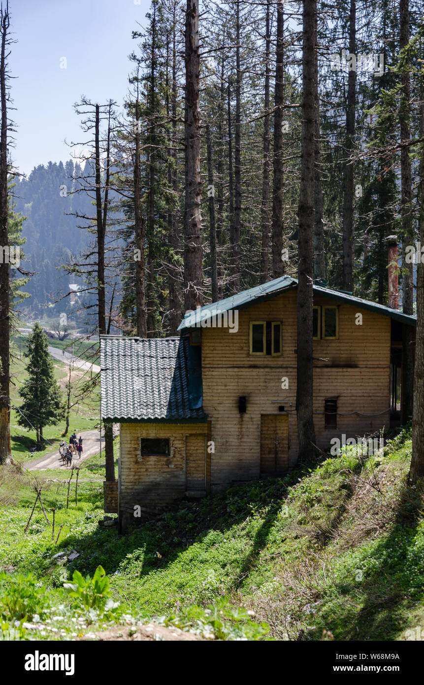 Wooden house amidst pine trees at Gulmarg, Jammu and Kashmir, India ...