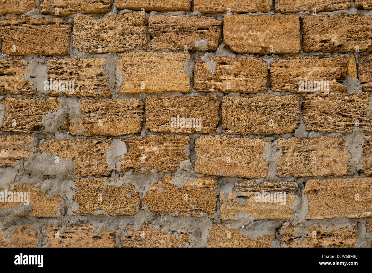 Brick wall of yellow shell rock. Closeup of shellstone texture ...