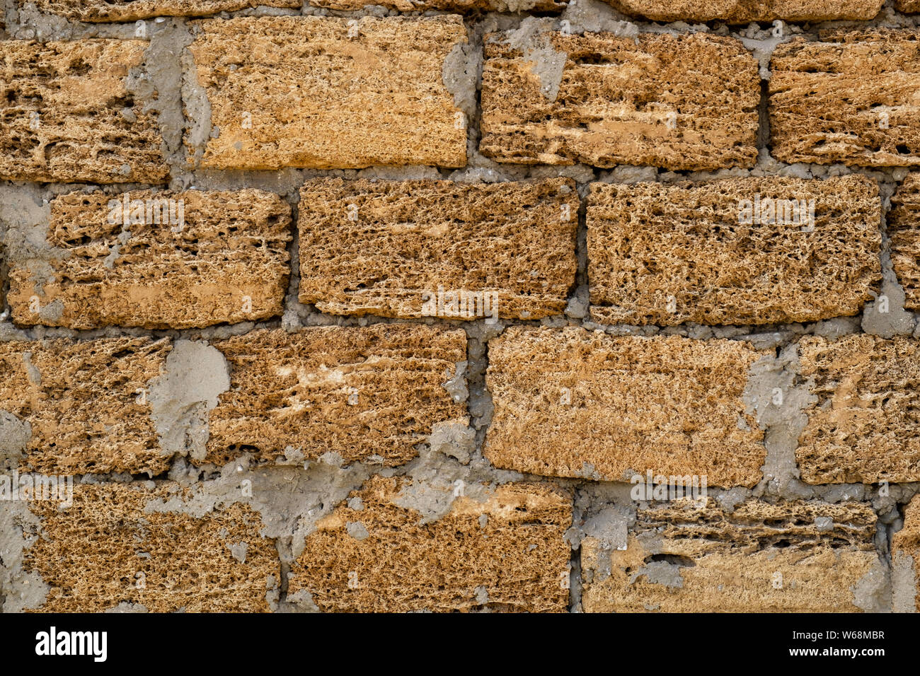 Brick wall of yellow shell rock. Closeup of shellstone texture ...