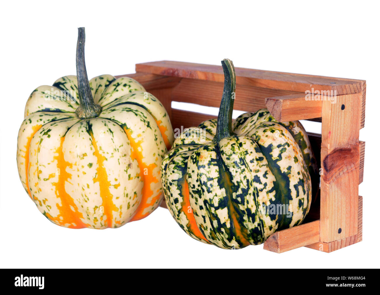 mini pumpkin with crate isolated on white background Stock Photo - Alamy