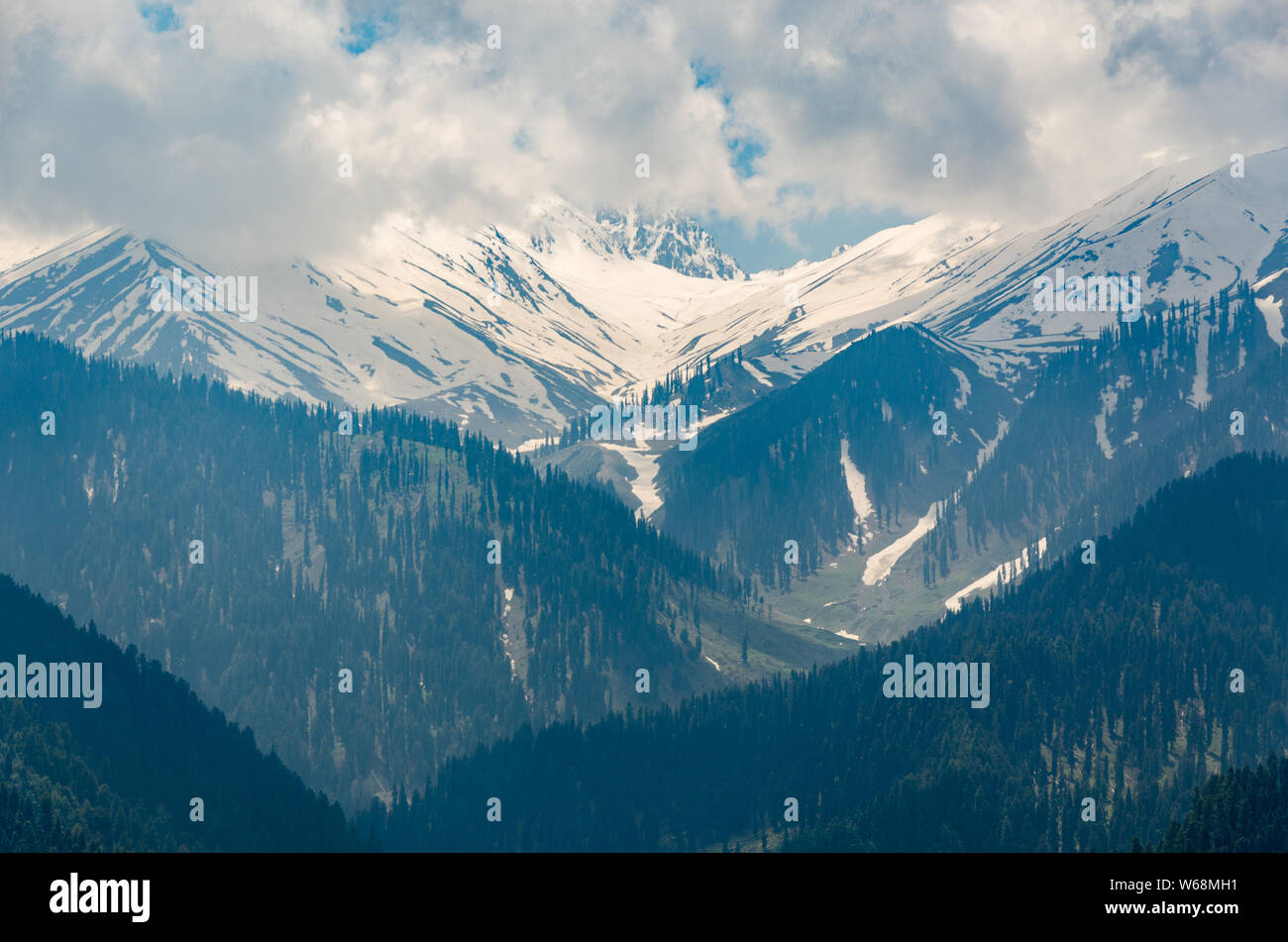 Kashmir Gulmarg Summer High Resolution Stock Photography and Images - Alamy