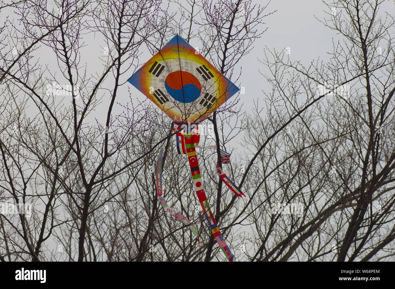 kite with korean national symbol on trees Stock Photo - Alamy