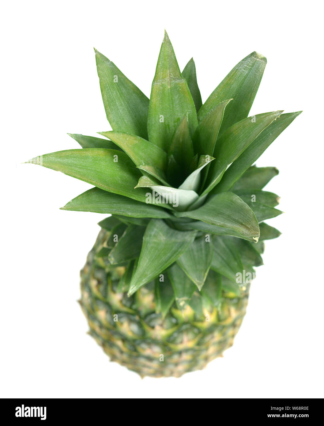 top view pineapple isolated on white background Stock Photo - Alamy