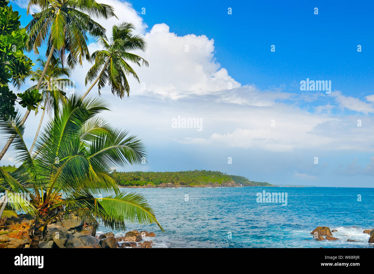 ocean and tropical palm trees on the shore Stock Photo - Alamy