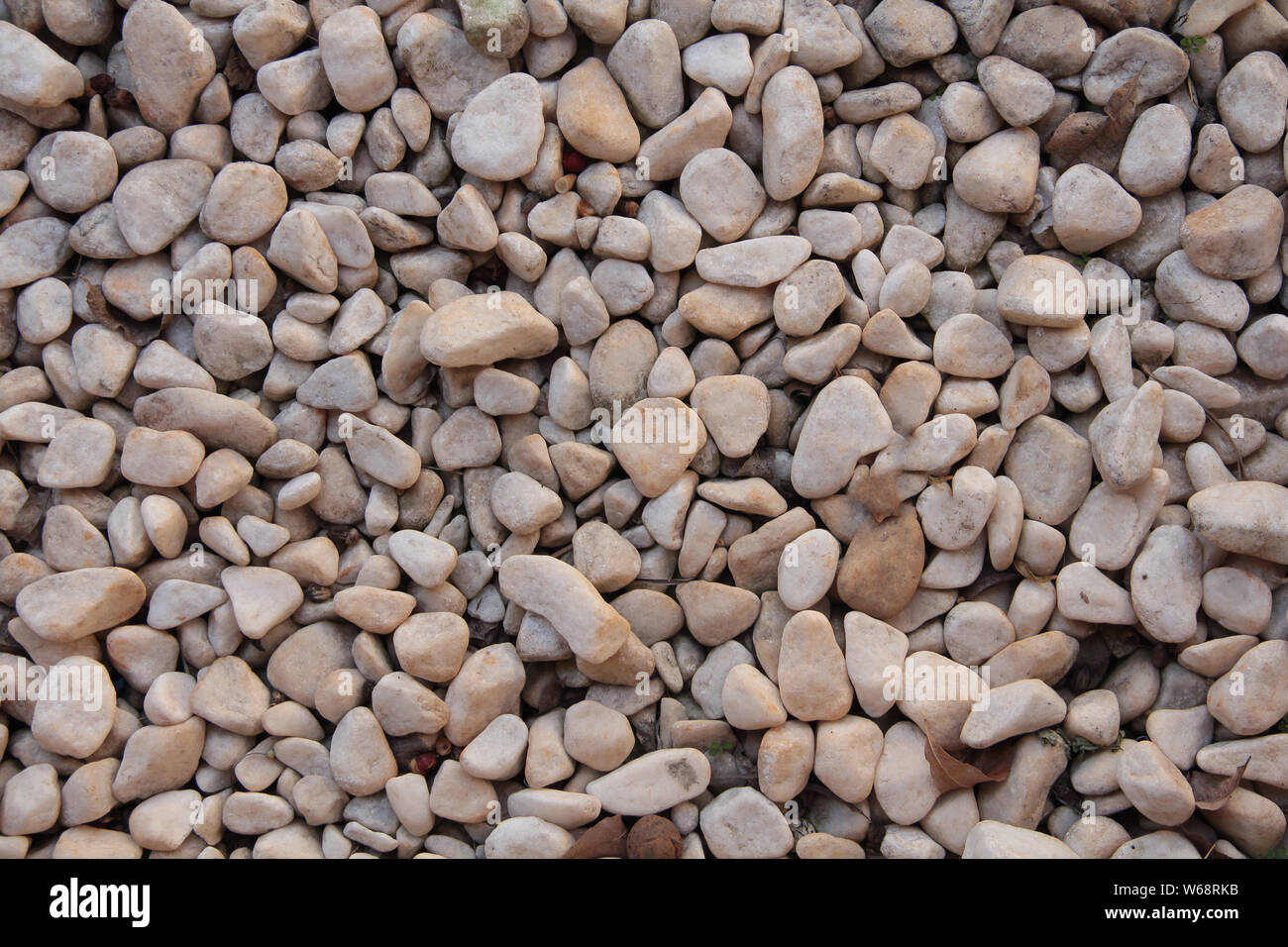 Decorative garden rock hi-res stock photography and images - Alamy