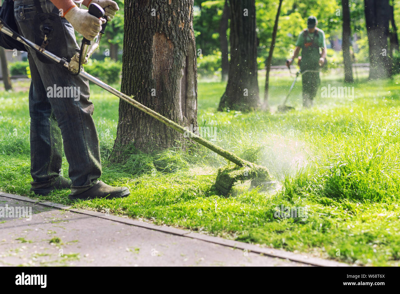 Worker mowing tall grass with electric or petrol lawn trimmer in city ...