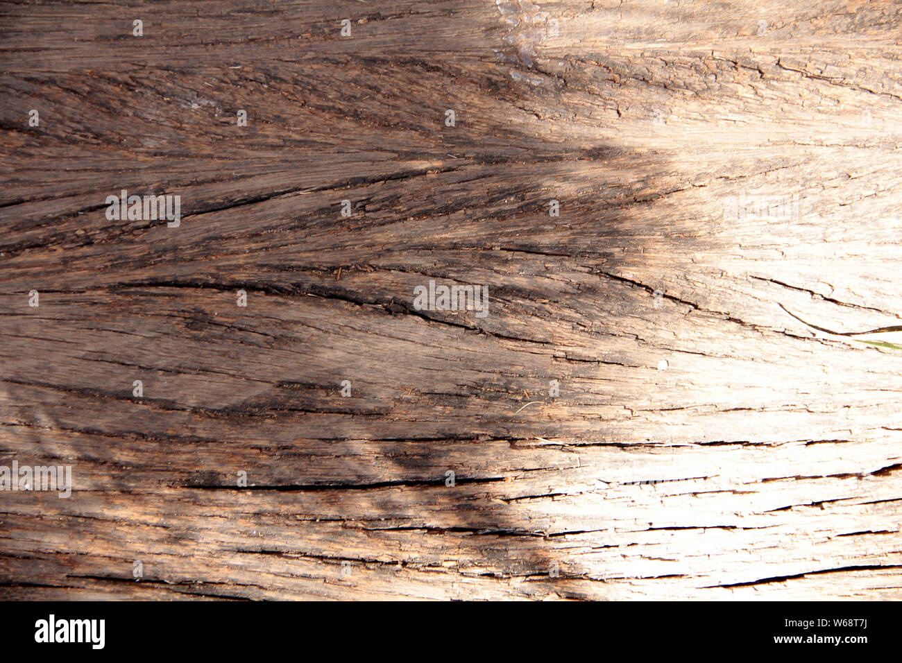 rustic natural wood texture brown Stock Photo - Alamy