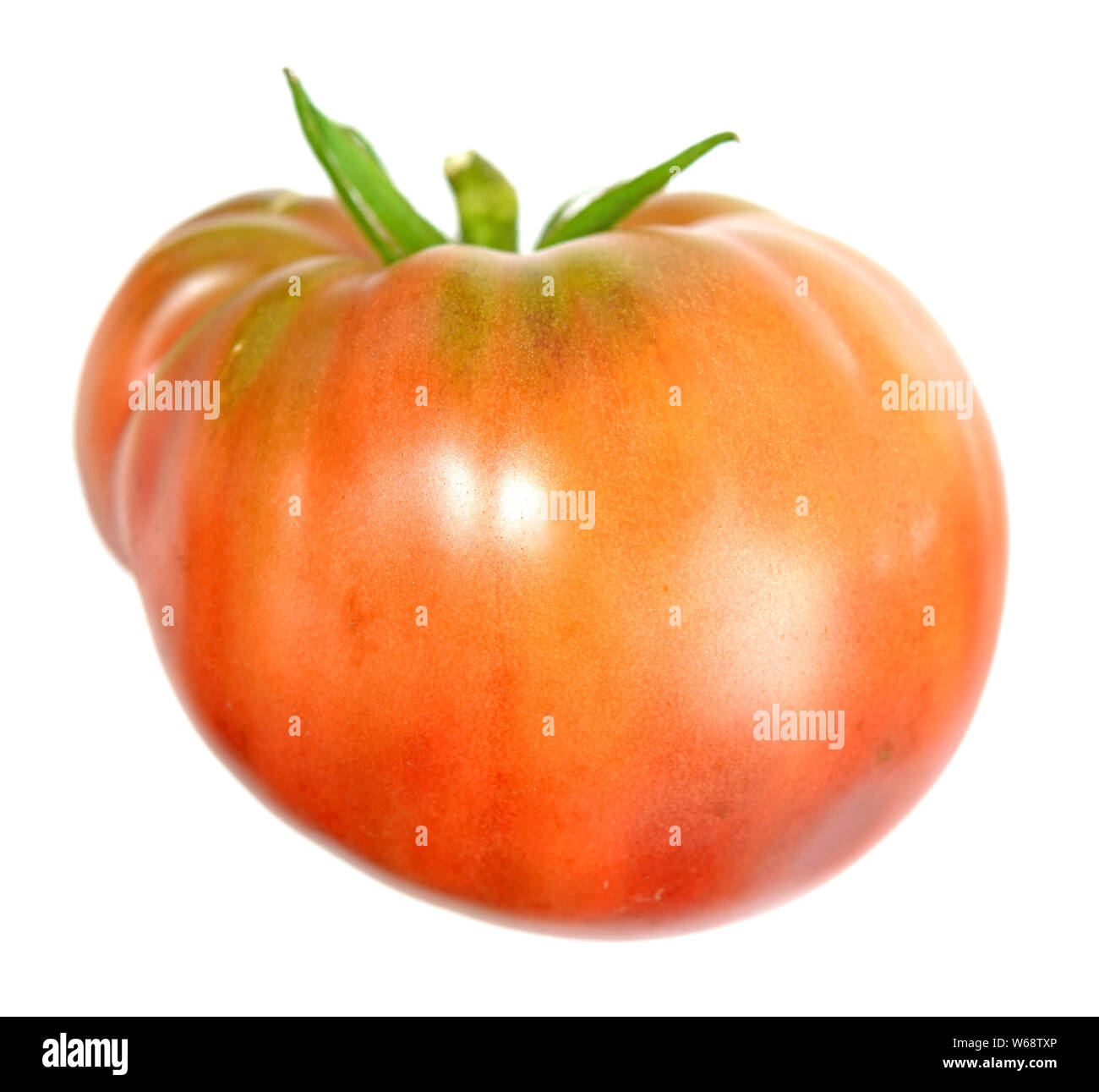 helium tomato on vine isolated on white background Stock Photo - Alamy