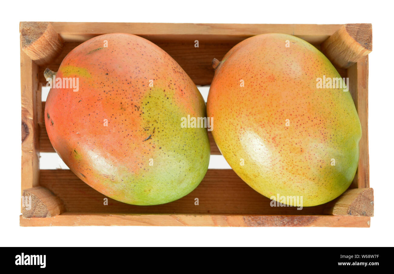 delicious Mexican mango in wooden crate isolated on white Stock Photo ...