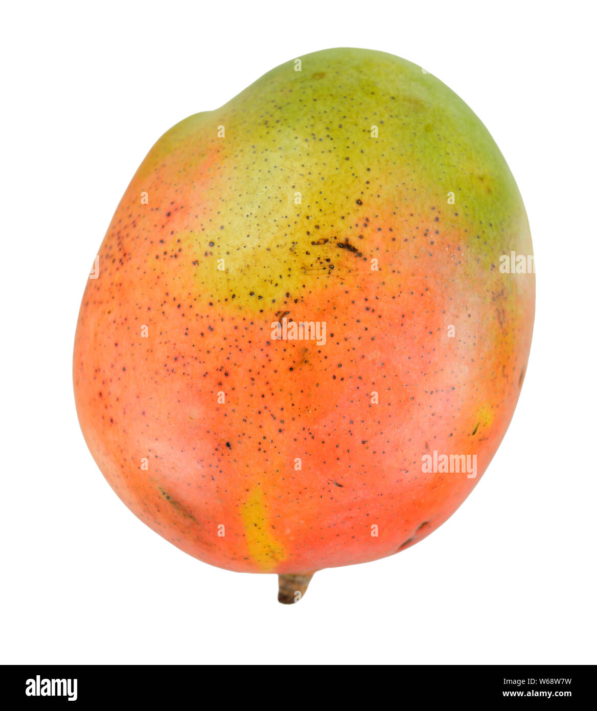 sweet single mango isolated on white background Stock Photo - Alamy