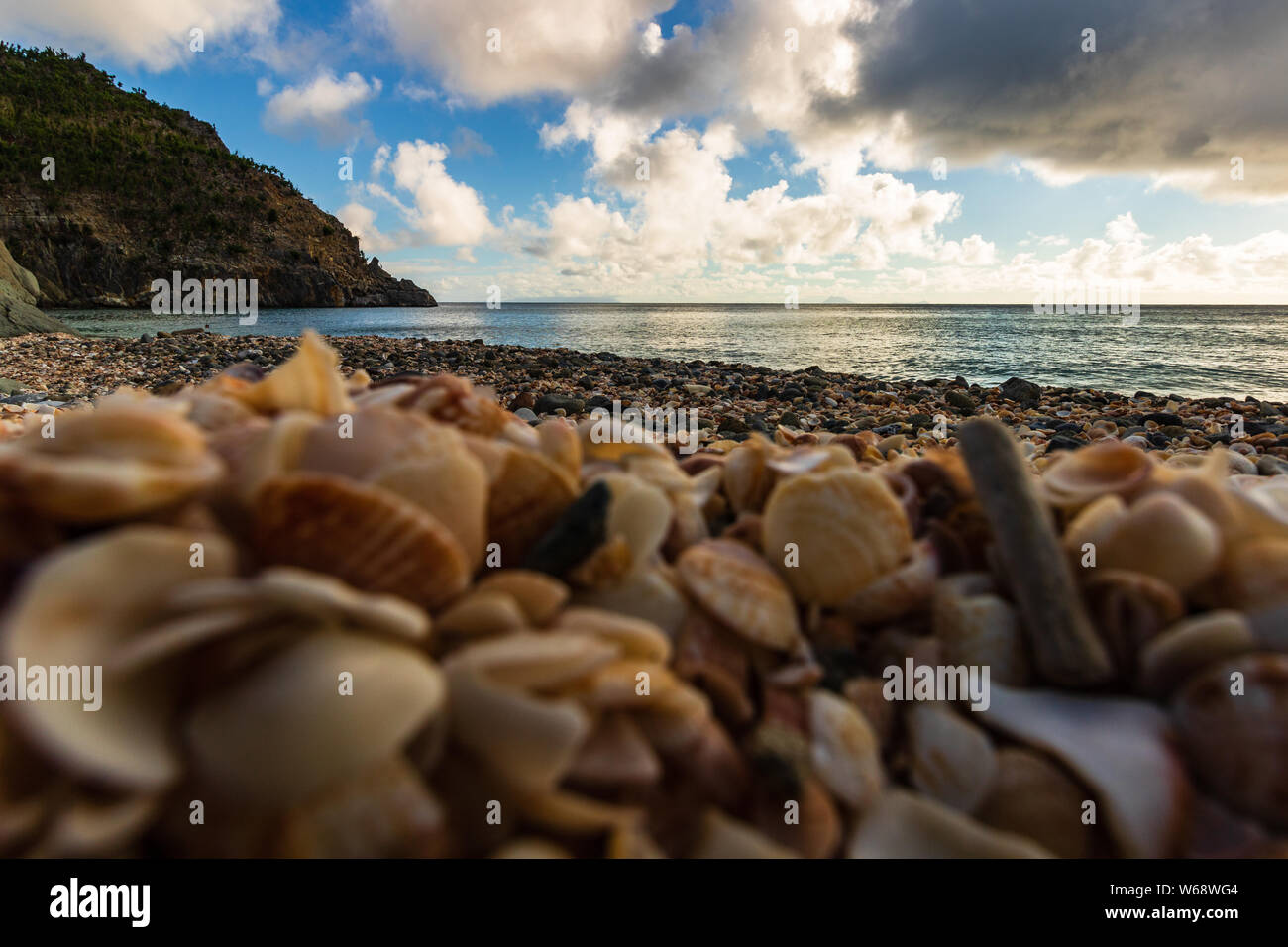 St. Barth’s Island (St. Bart’s Island), Caribbean Close-up photo shells ...