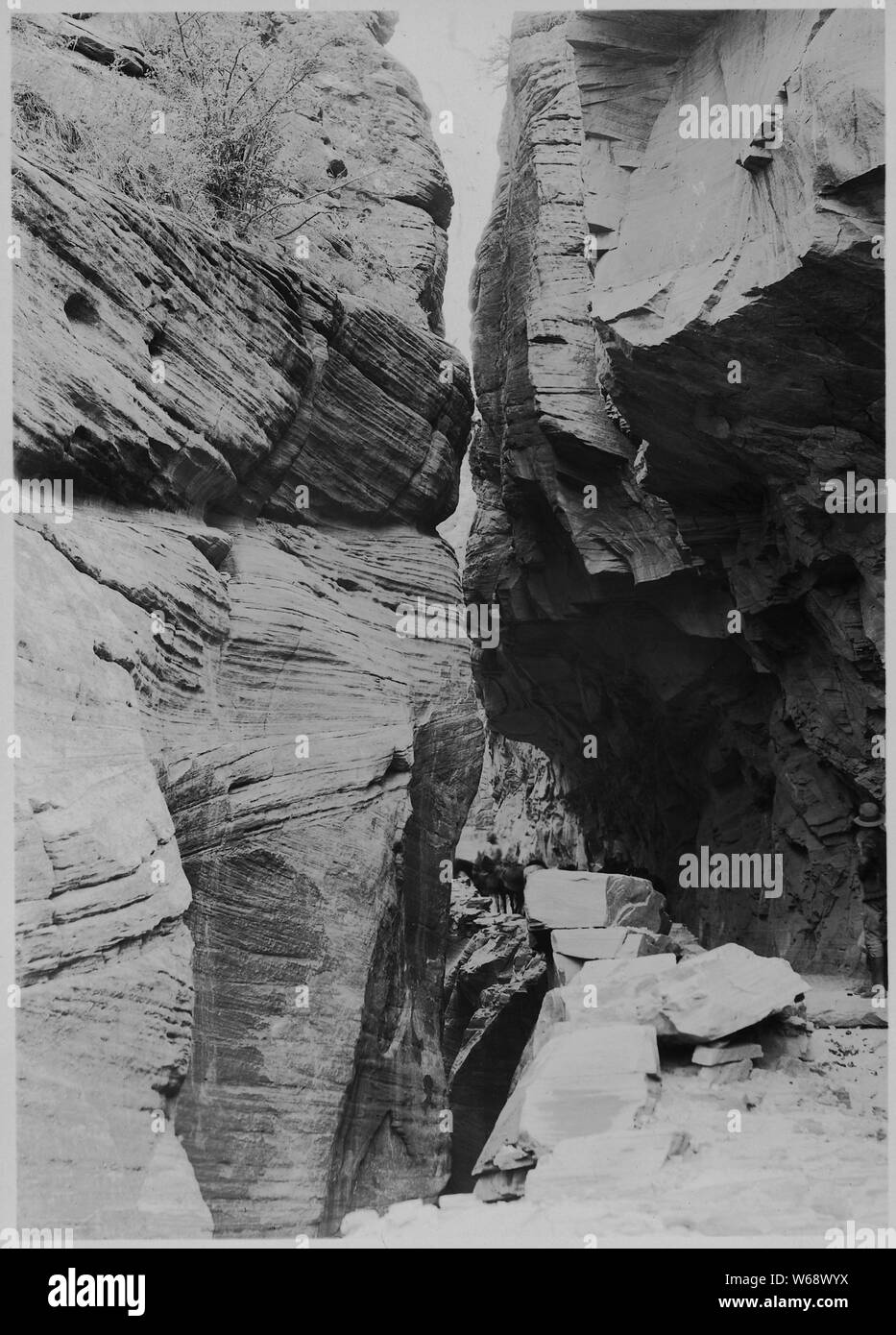 Beatty point hi-res stock photography and images - Alamy