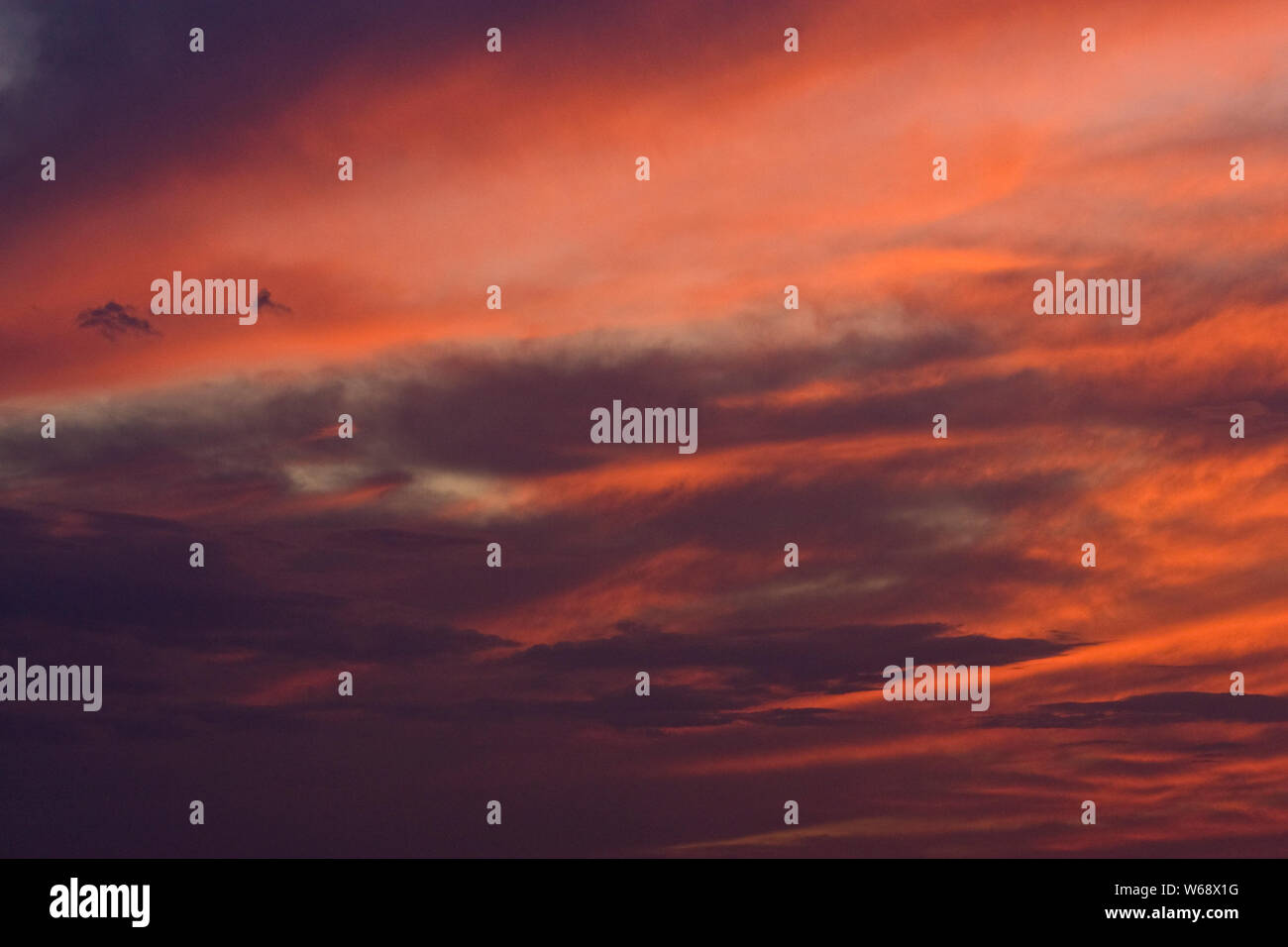 Burnt orange hi-res stock photography and images - Alamy