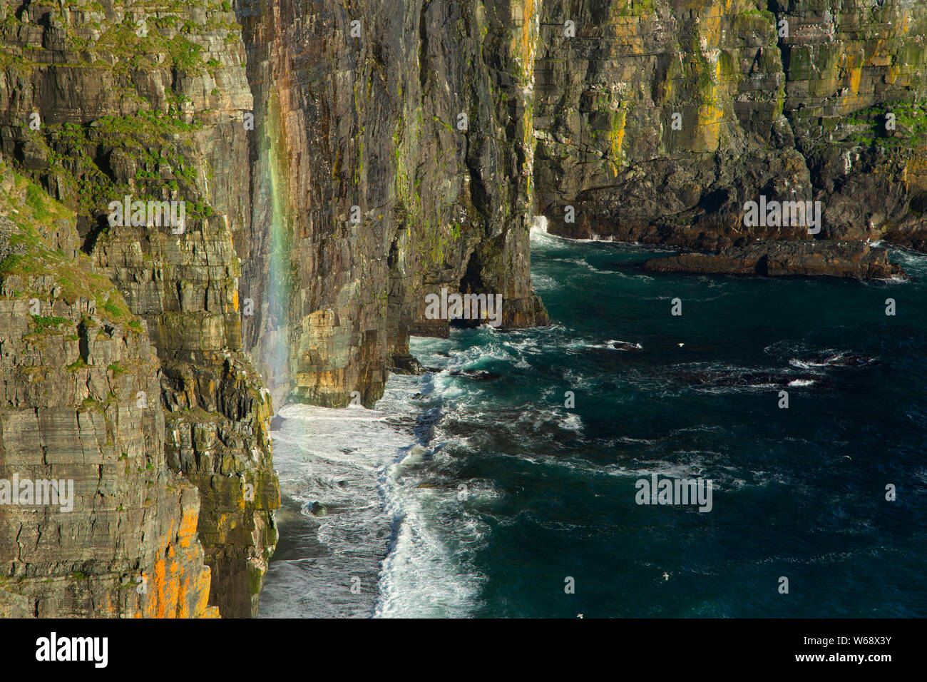 Labrador mistaken point hi-res stock photography and images - Alamy