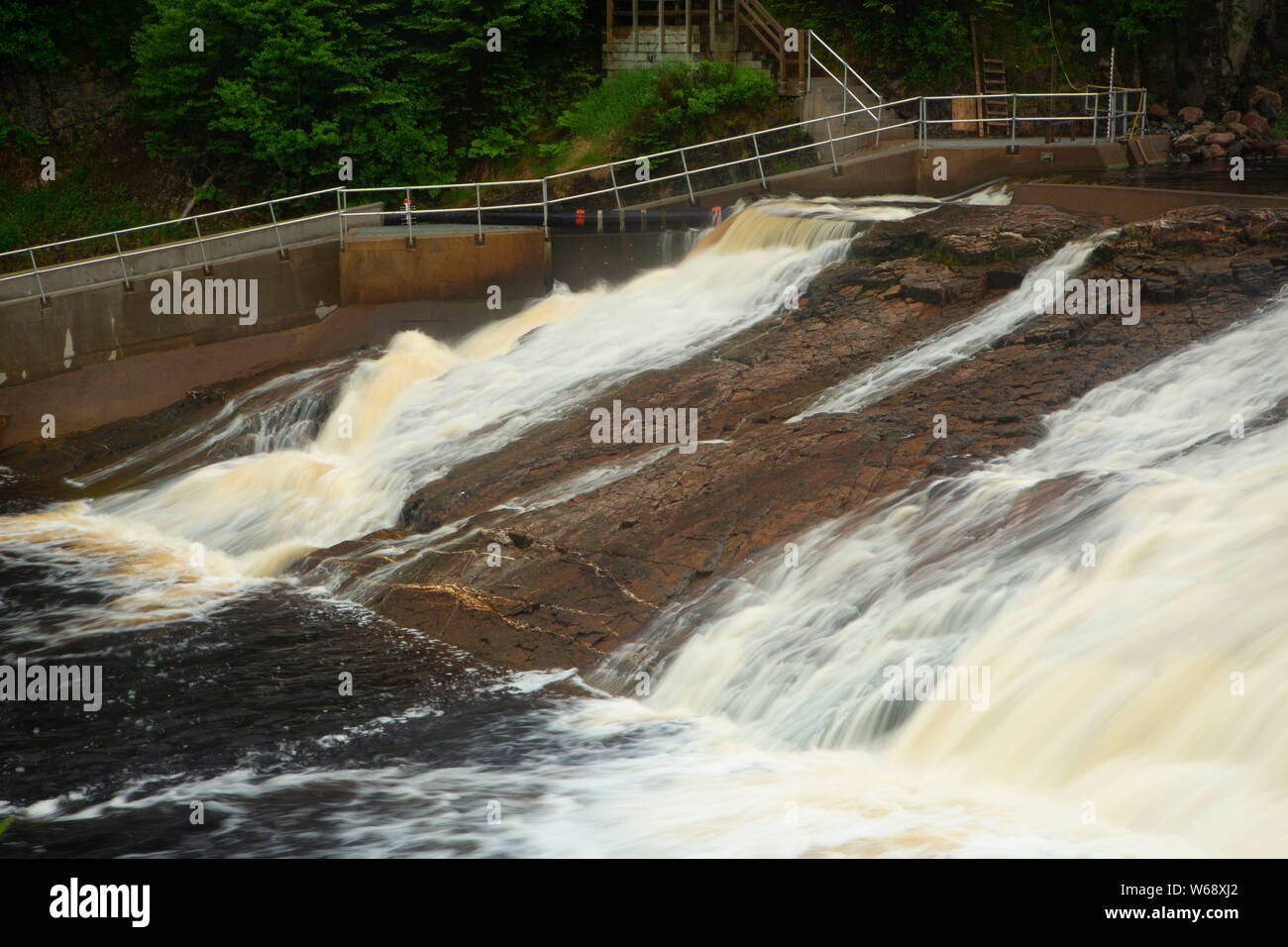 Atlantic salmon newfoundland hi-res stock photography and images - Alamy