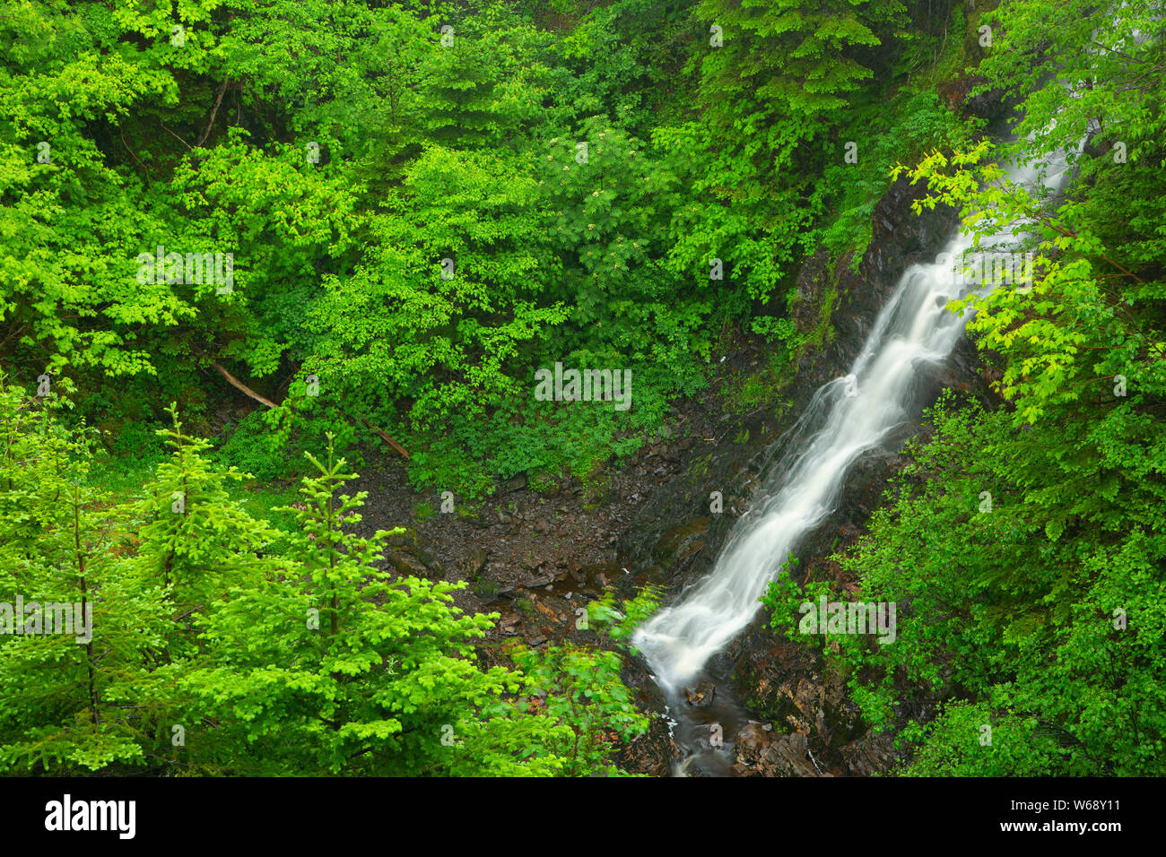 Cataracts Provincial Park High Resolution Stock Photography and Images ...