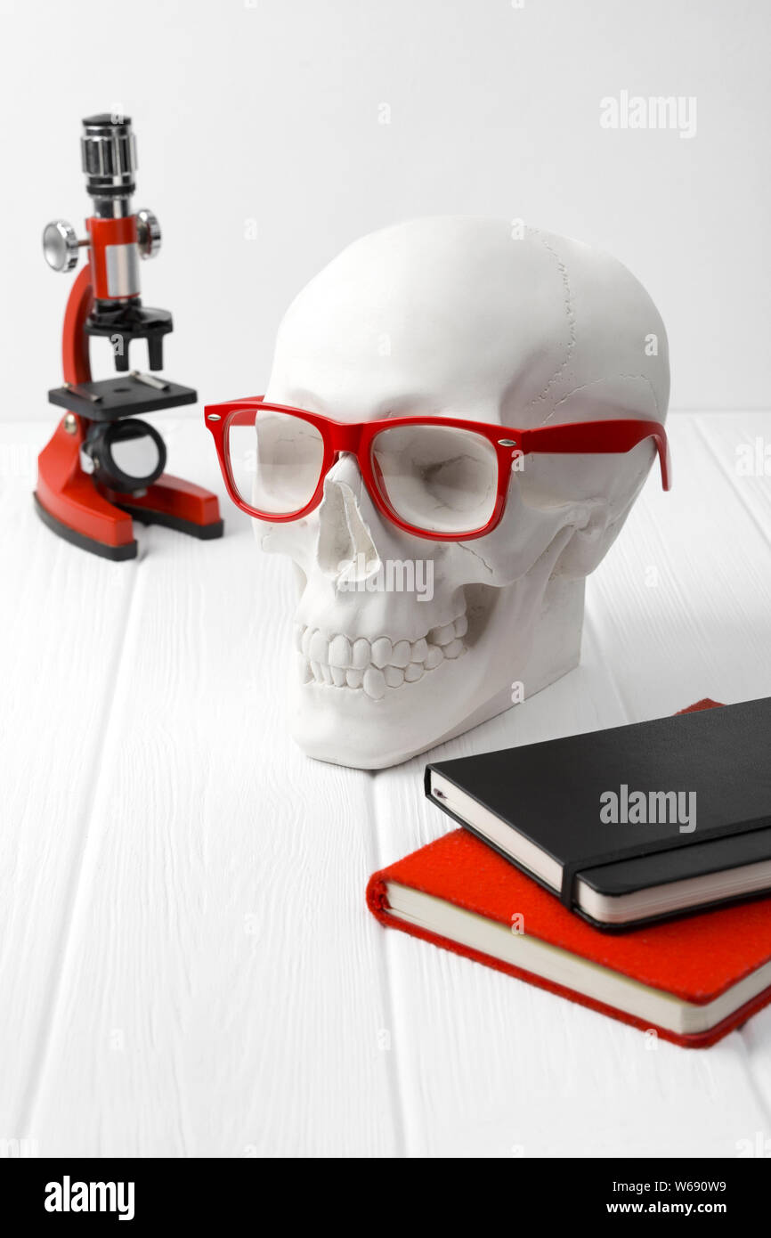 Gypsum human skull in red glasses with notepads, microscope at white ...