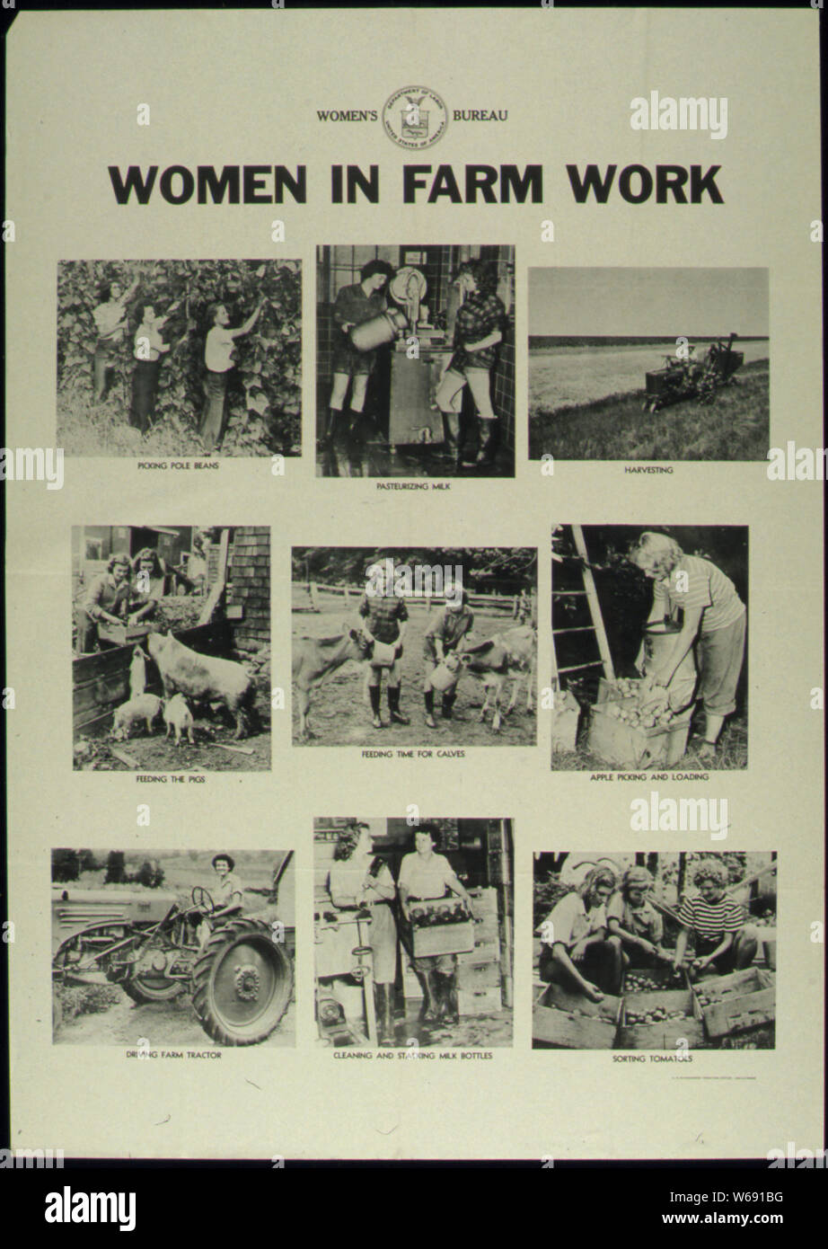 WOMEN IN FARM WORK Stock Photo - Alamy
