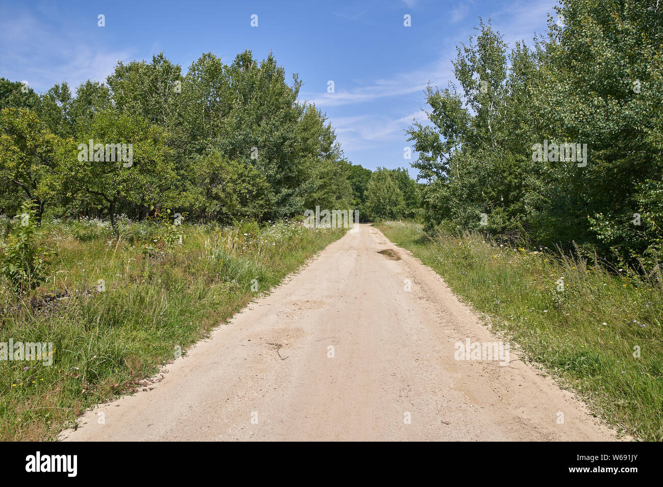 Landscape with rural road through meadow and forest in daylight Stock ...