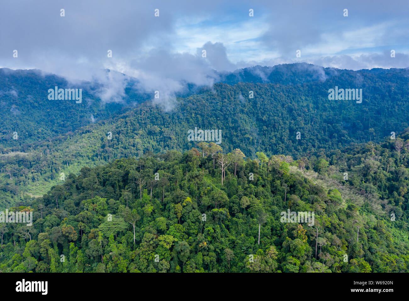 Aerial view of cloud hanging over dense, mountainous tropical jungle ...