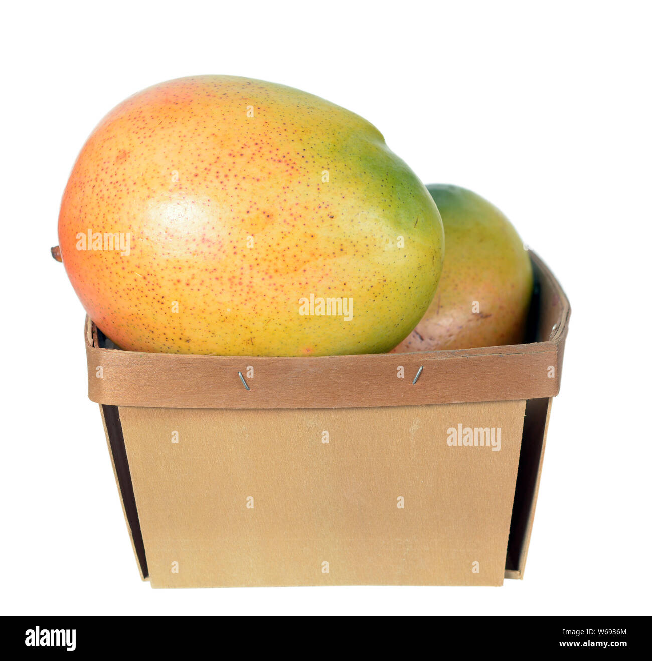 fresh ripe mango in bucket isolated on white Stock Photo - Alamy