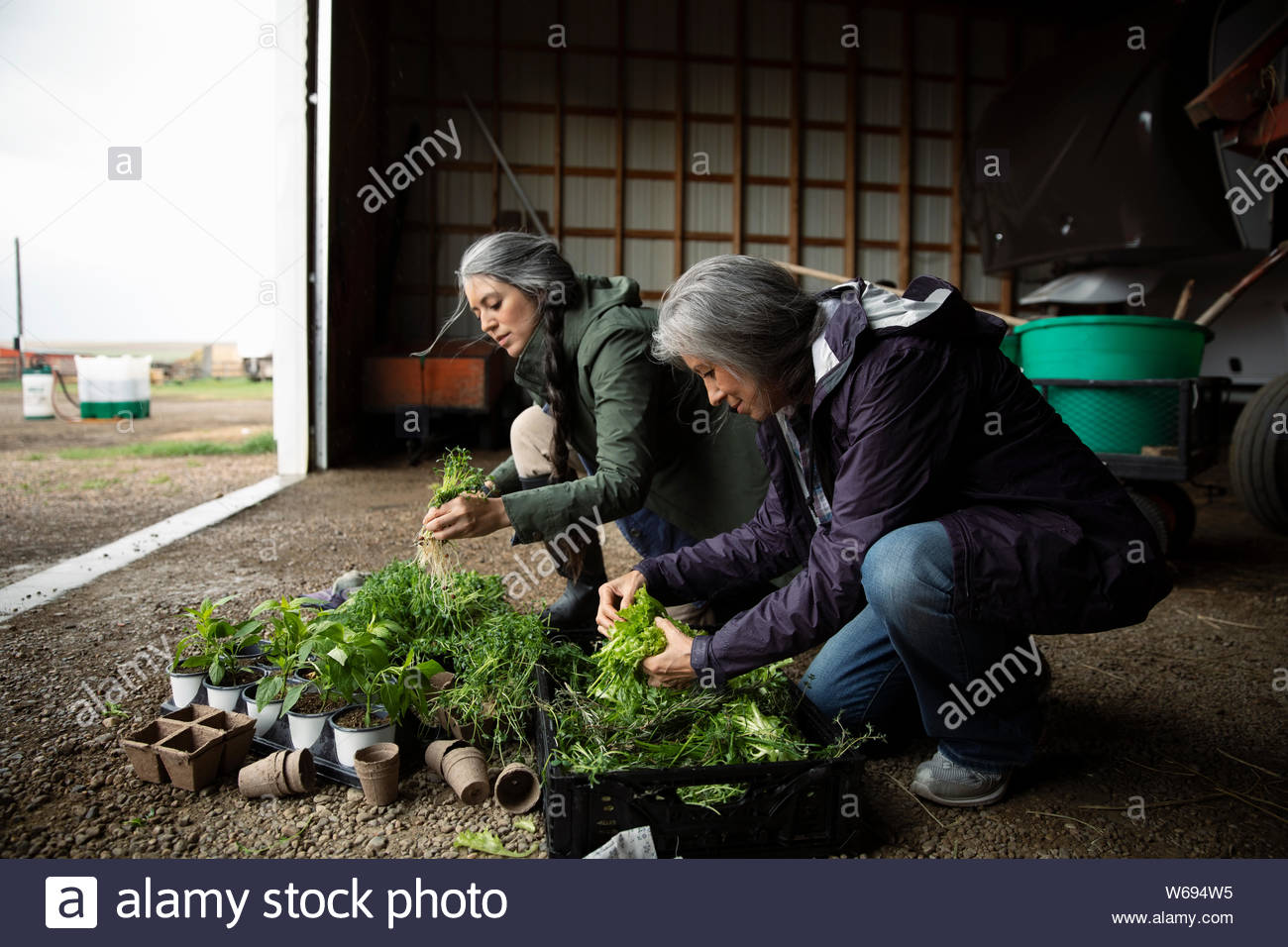 American barn farm view hi-res stock photography and images - Alamy