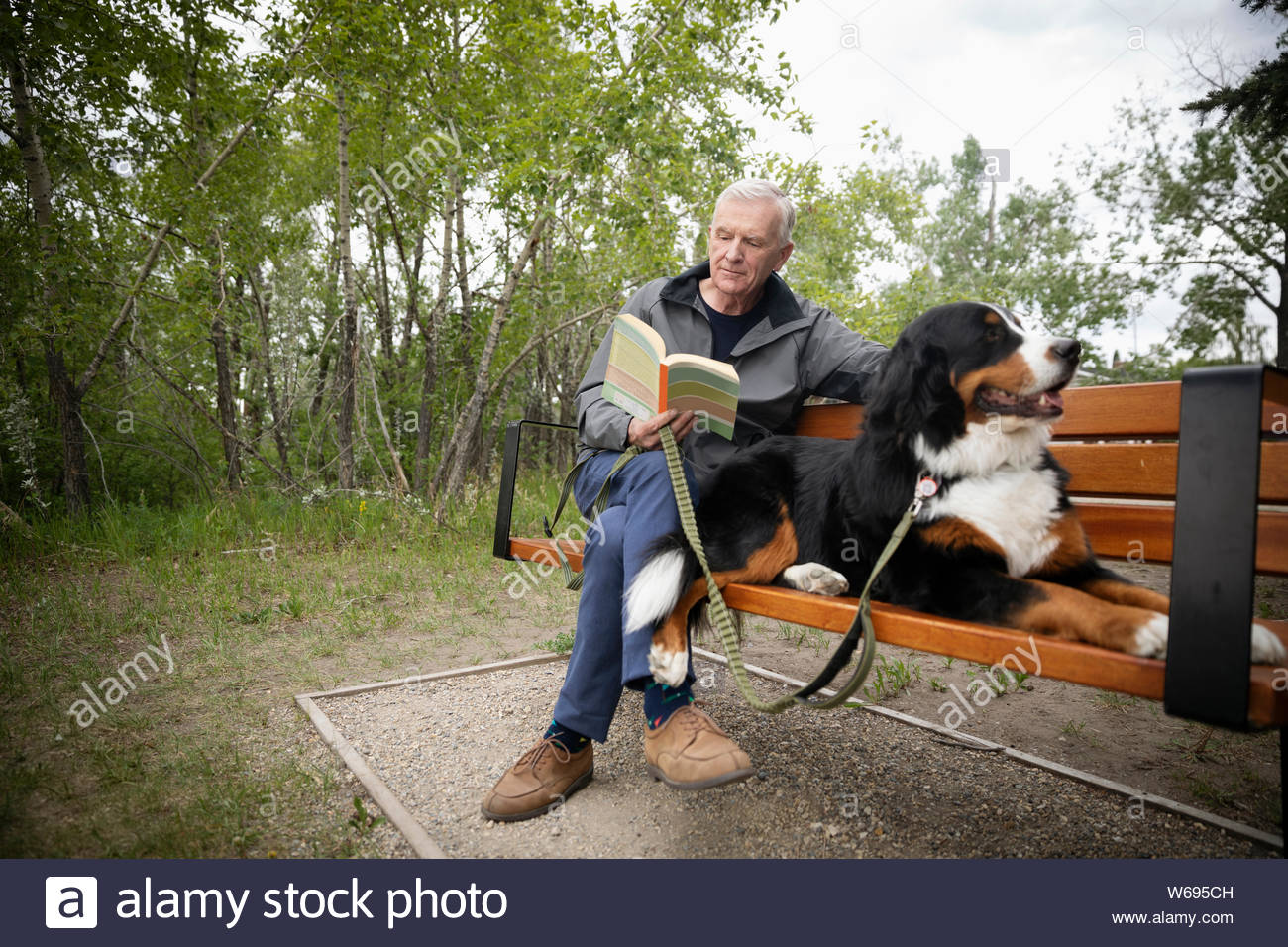 Senior man with dog hi-res stock photography and images - Alamy