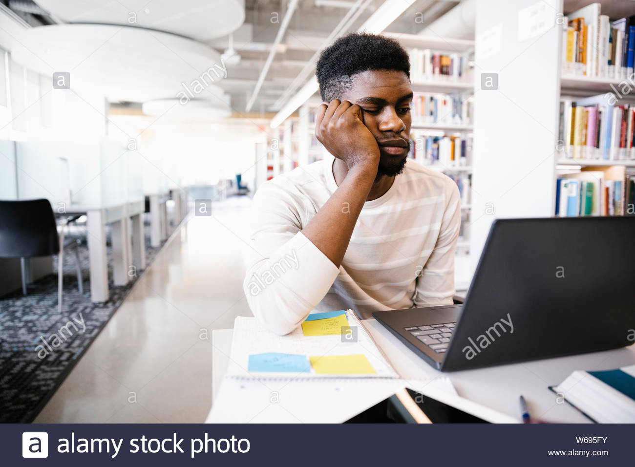 Student working on laptop in library hi-res stock photography and ...