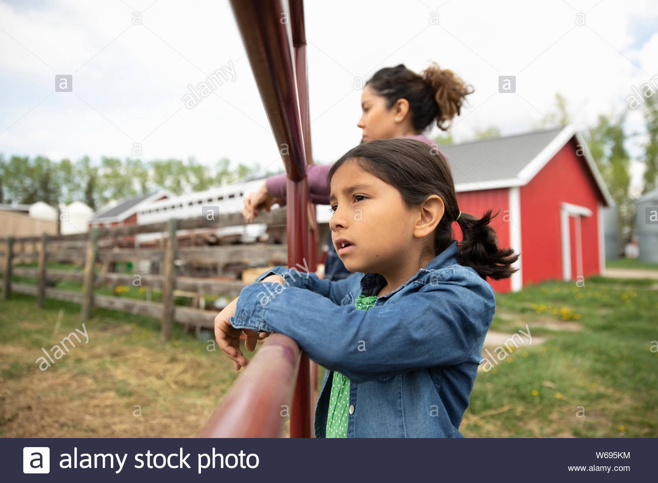 Girl curious hi-res stock photography and images - Alamy