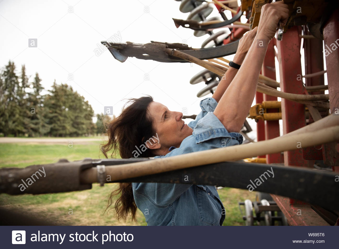 Harvester women hi-res stock photography and images - Alamy