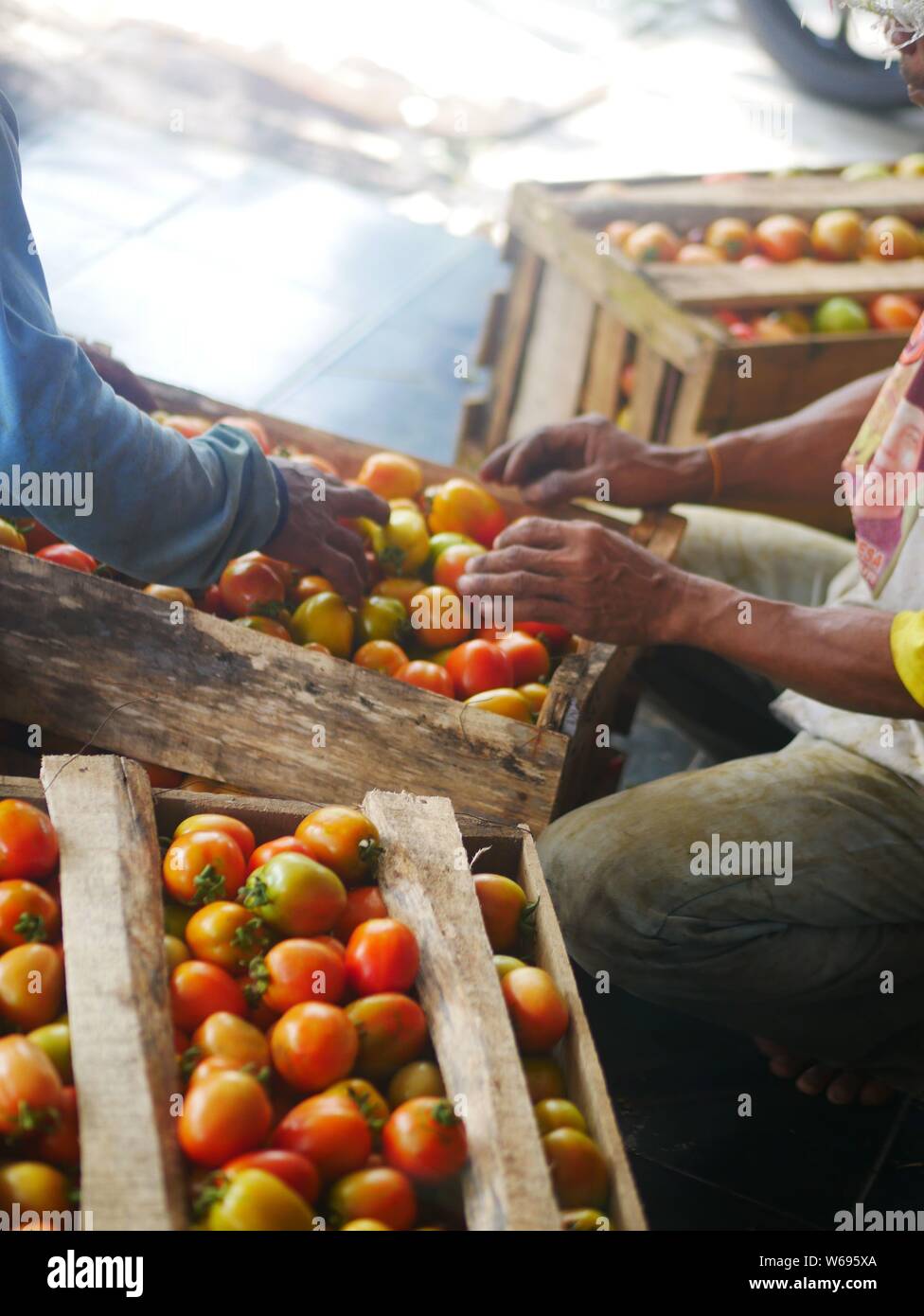 Asian tomatoes hi-res stock photography and images - Alamy