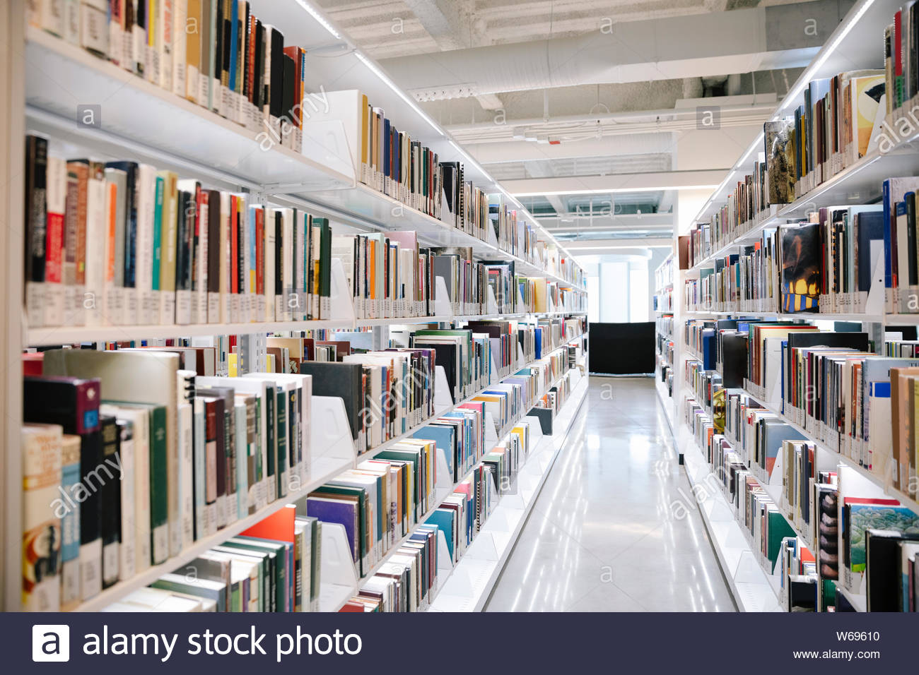 Empty bookshelf, library hi-res stock photography and images - Alamy