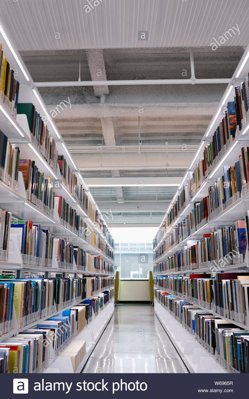 Bookcase vertical hi-res stock photography and images - Alamy