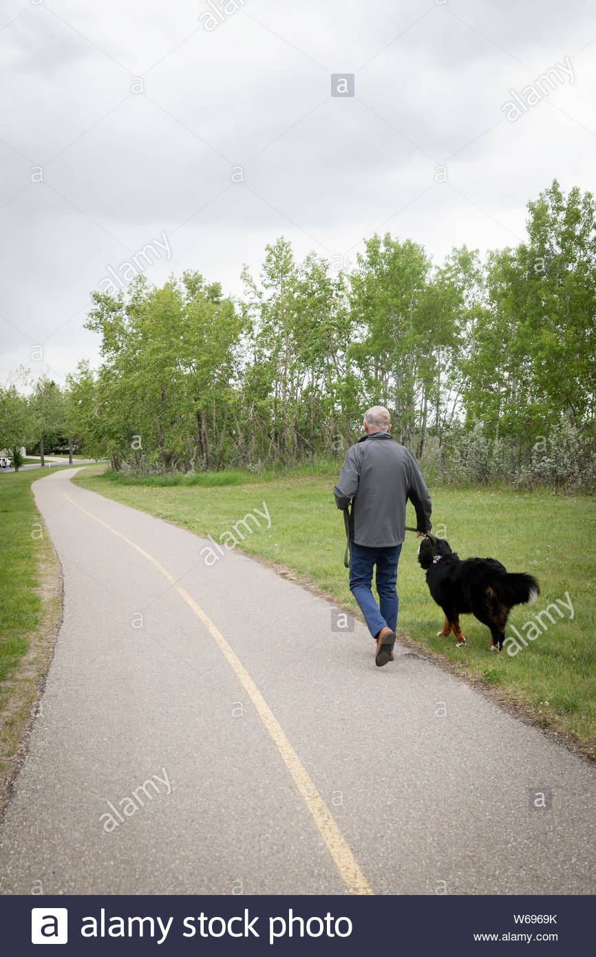 Lifestyle senior walking dog hi-res stock photography and images - Alamy