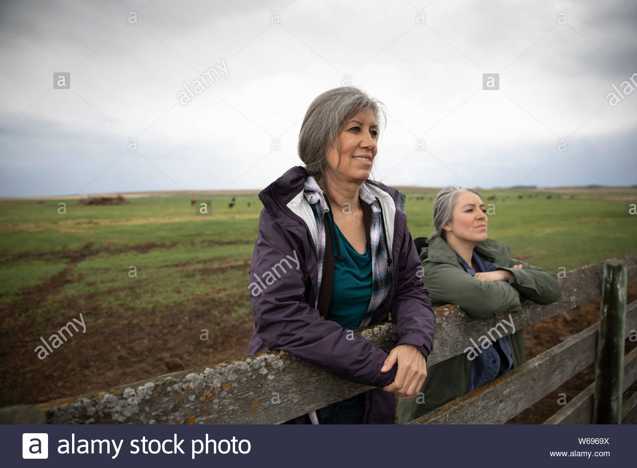 Ranchers daughter hi-res stock photography and images - Alamy