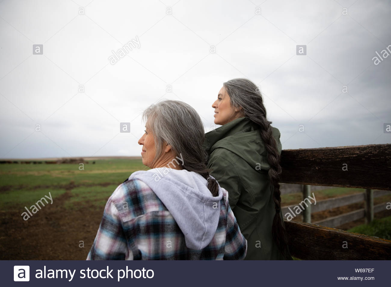 Ranchers daughter hi-res stock photography and images - Alamy