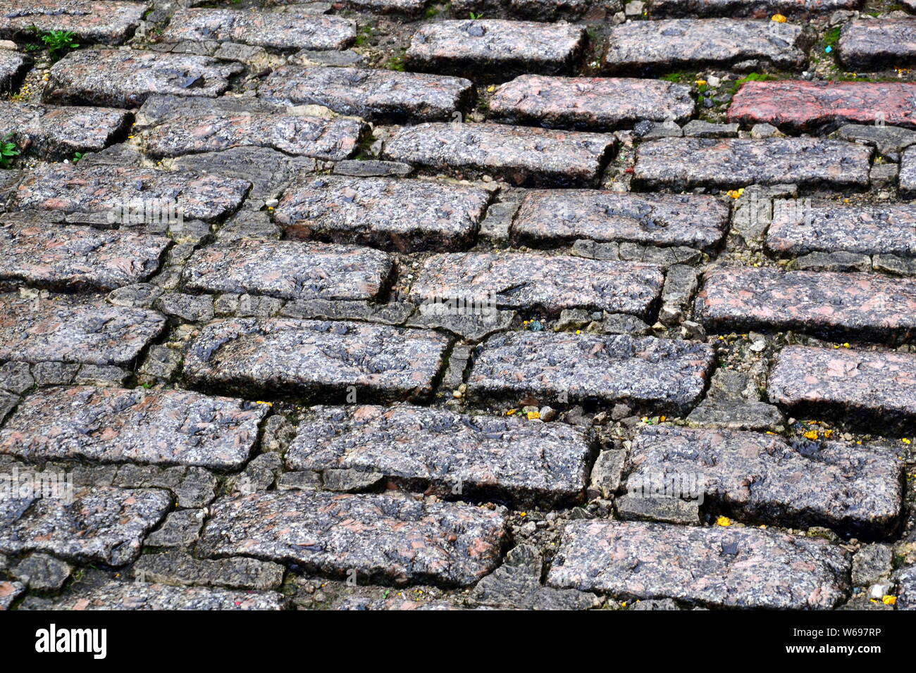 Traditional cobbles on a wet cobbled street in Stockport, Greater ...