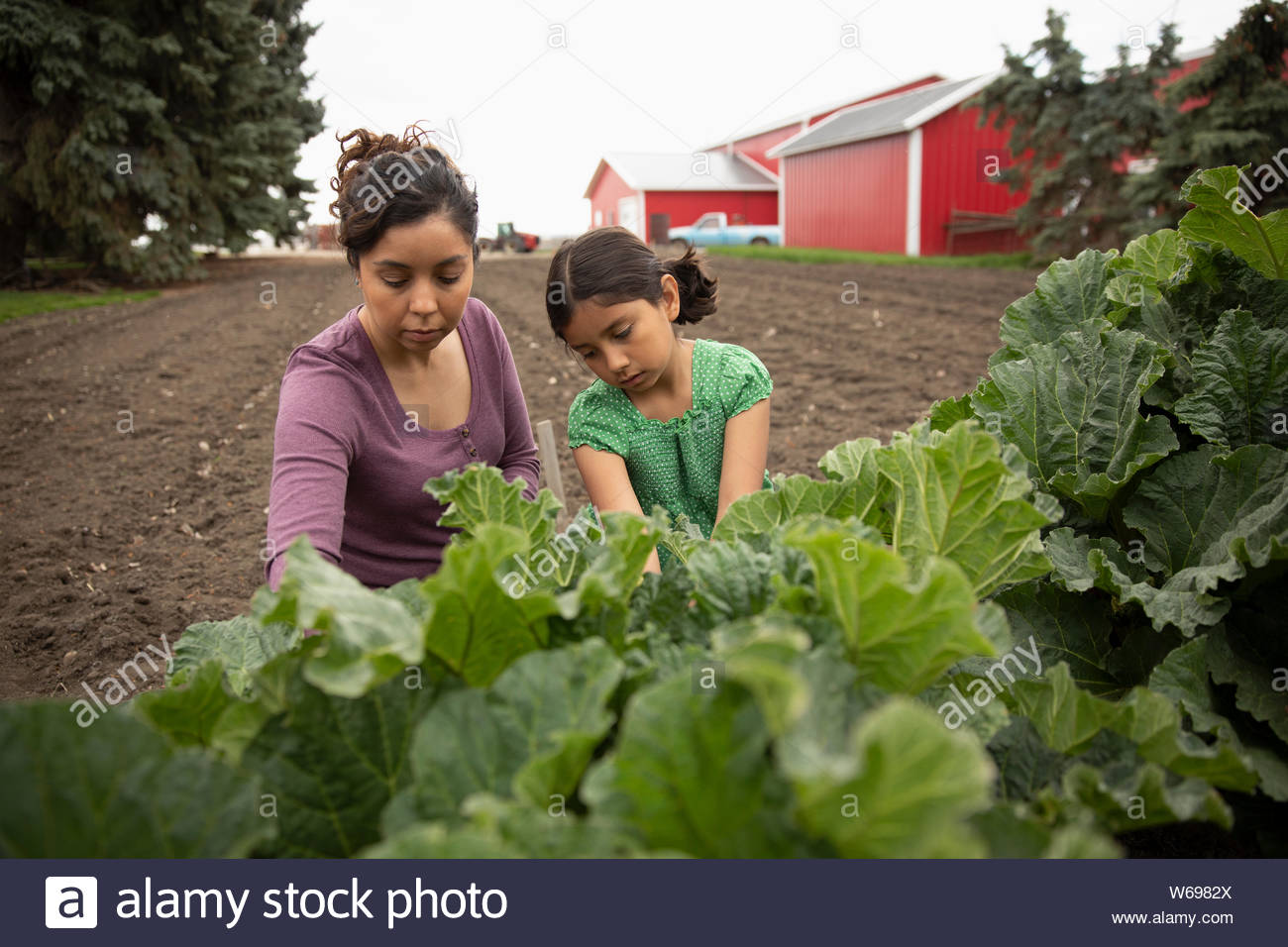 Child working american farm hi-res stock photography and images - Alamy