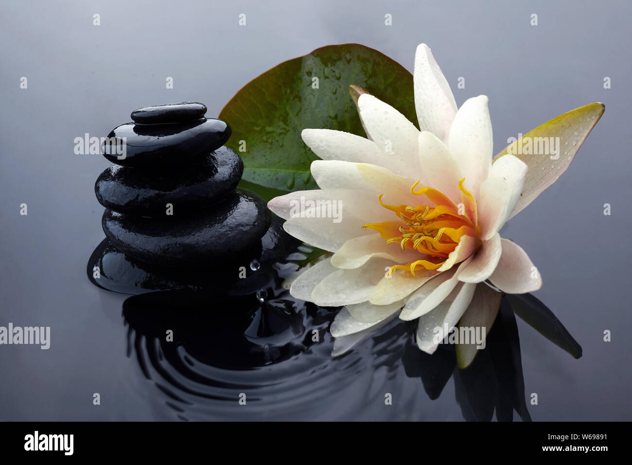 Spa still life with water lily and zen stone in a serenity pool Stock ...