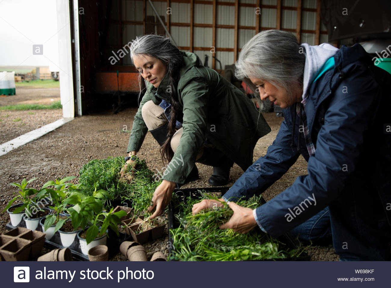 American barn farm view hi-res stock photography and images - Alamy