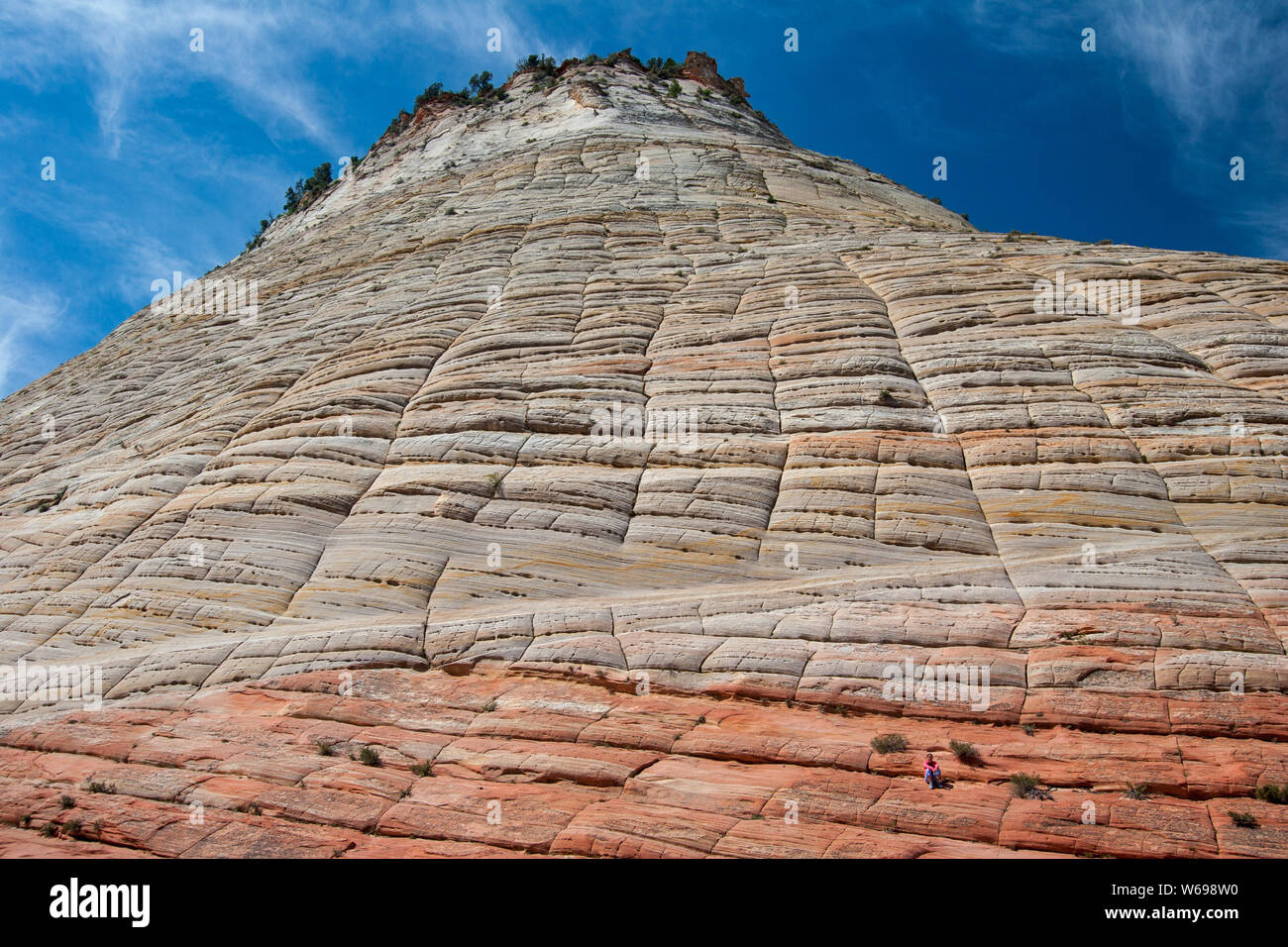 Young girl climbing on Checkerboard Mesa on the Zion Plateau, Utah on a summer morning under a ...