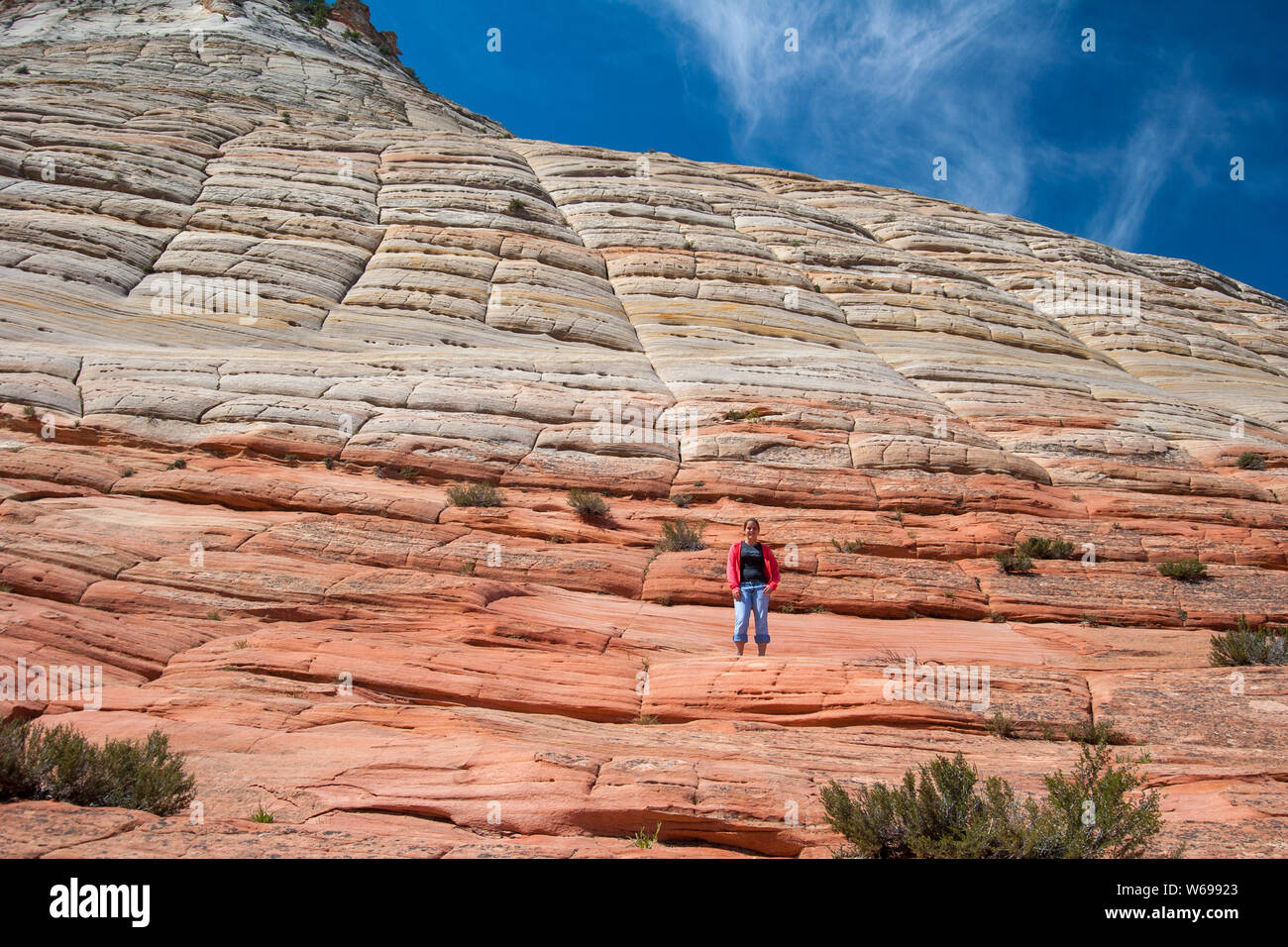 Young girl climbing on Checkerboard Mesa on the Zion Plateau, Utah on a summer morning under a ...