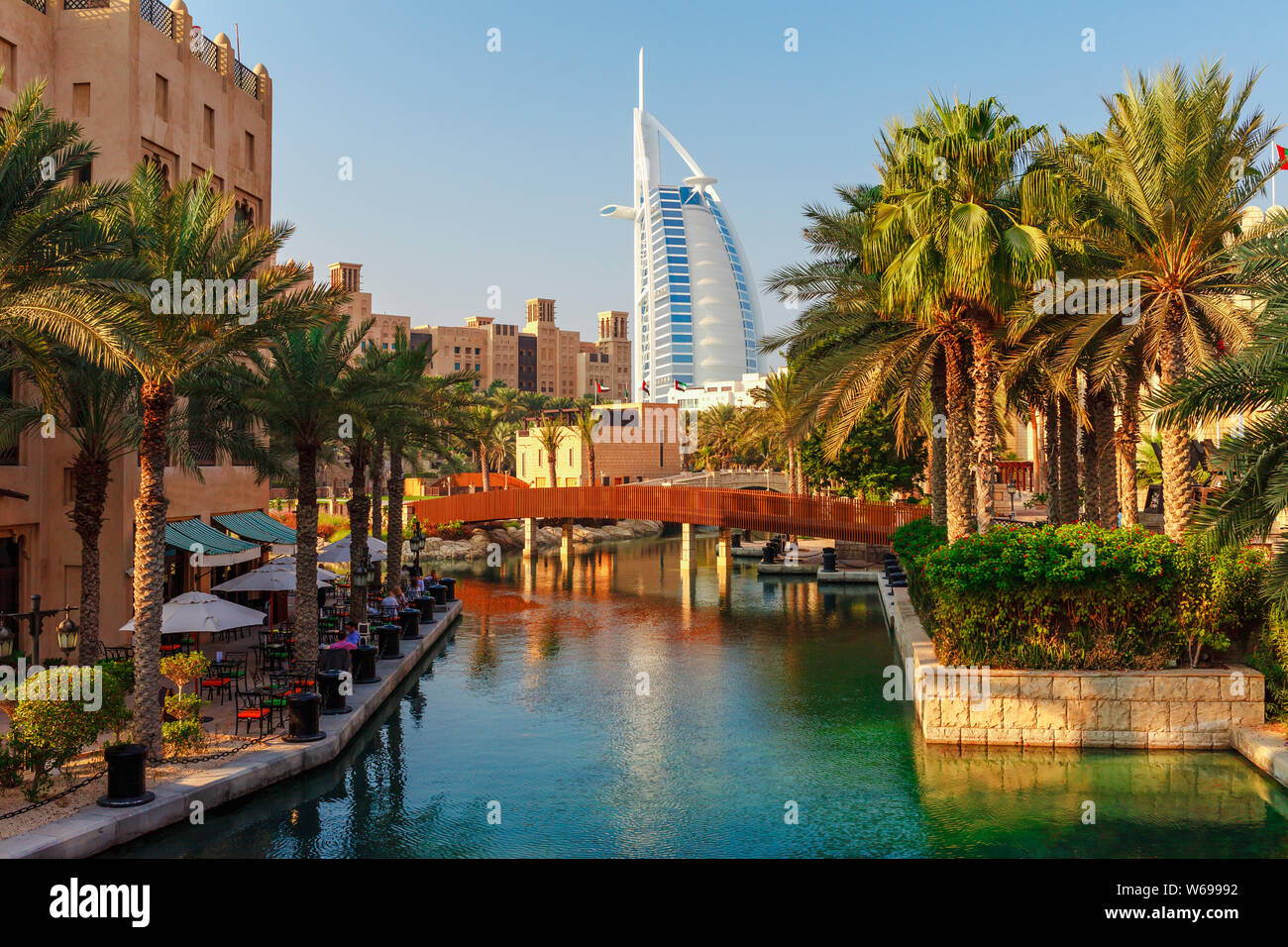 Fig trees of the middle east hi-res stock photography and images - Alamy