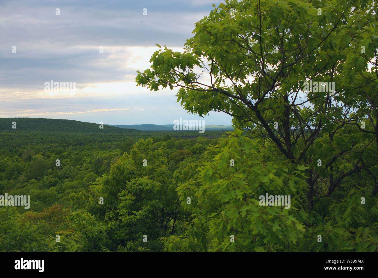Looking out over a forest with lake and hills in distance Stock Photo ...